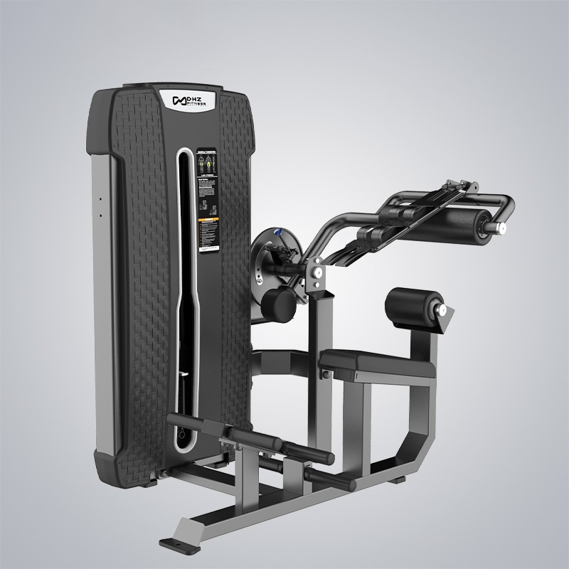 Wholesale China Hip Thrust Machine Factory – Abdominal&Back Extension ...