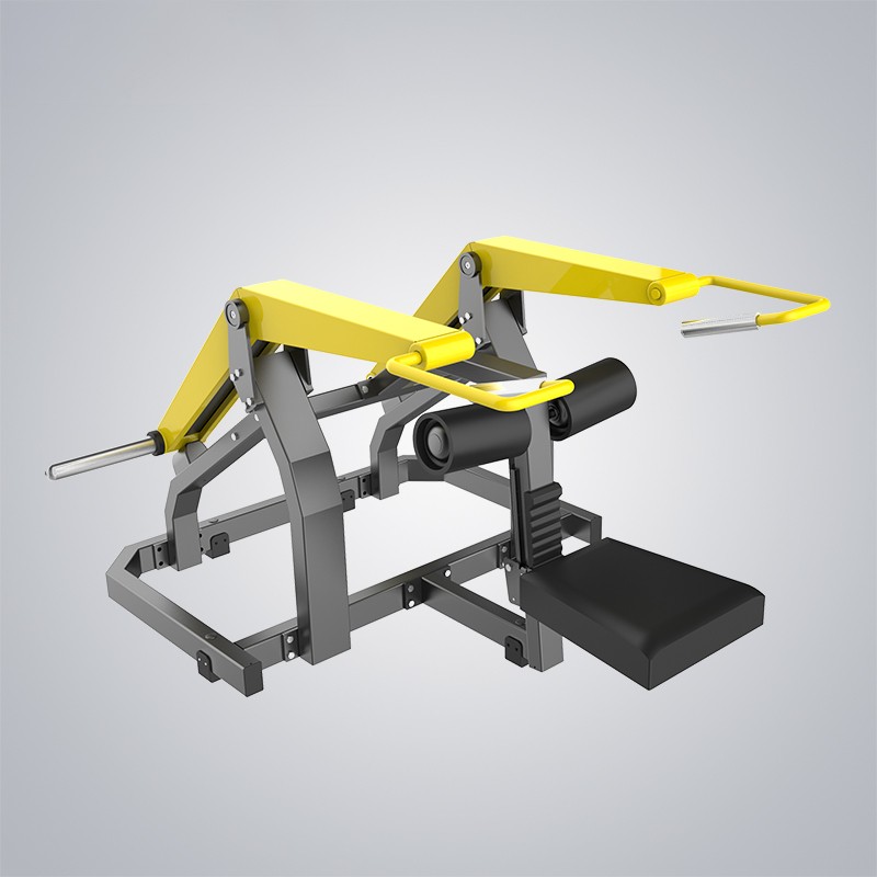 Wholesale Low Row Factory – Seated Dip D965Z – DHZ Manufacturer and ...